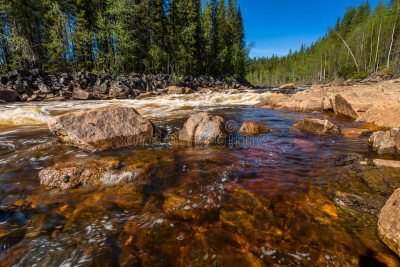 Landscape with River, Rapids and Forest Stock Image - Image of river ...