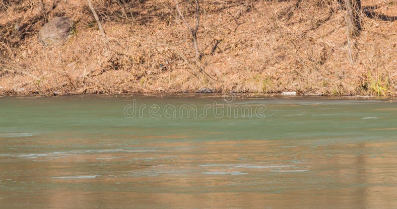 Landscape of a River with Shoreline of Dry Grass and Rocks Stock Image ...