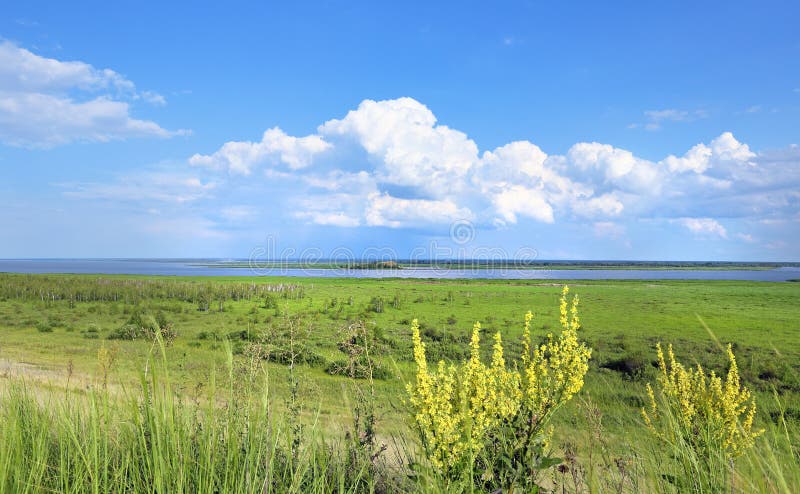 Landscape with the River in Siberia Stock Photo - Image of grass ...