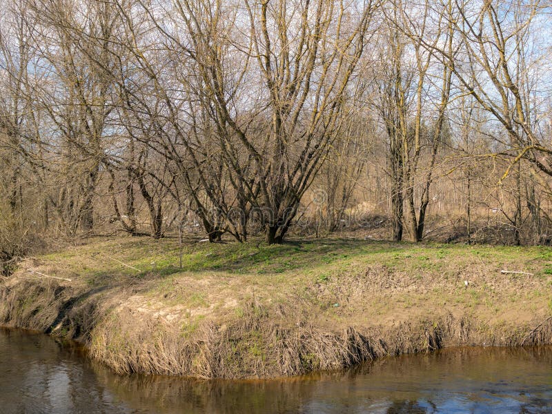 Landscape on the river stock photo. Image of river, tree - 181457758
