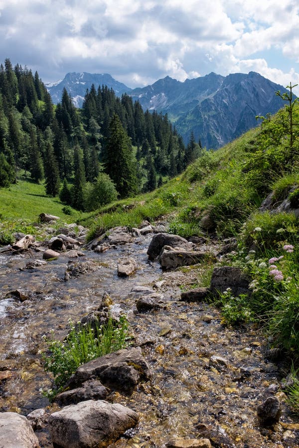 Landscape with River Stream Stock Image - Image of freshness, fresh ...