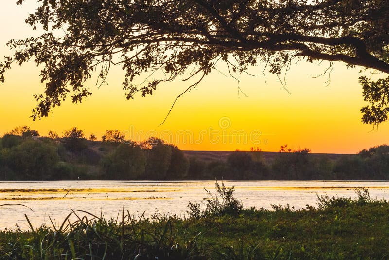 Landscape with River and Tree during Sunset_ Stock Photo - Image of ...