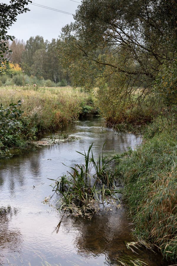 River with Trees and Boats in Sepia Look Stock Photo - Image of acres ...