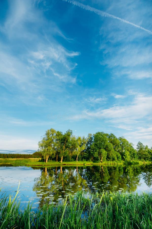 Landscape River and Trees on Shore Stock Photo - Image of tree, outdoor ...