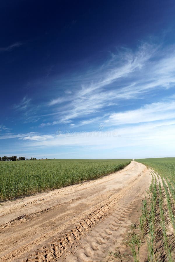 Road Leading through a Field Stock Image - Image of field, paradise ...