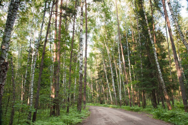 Landscape stock image. Image of idyllic, outdoors, land - 32039505