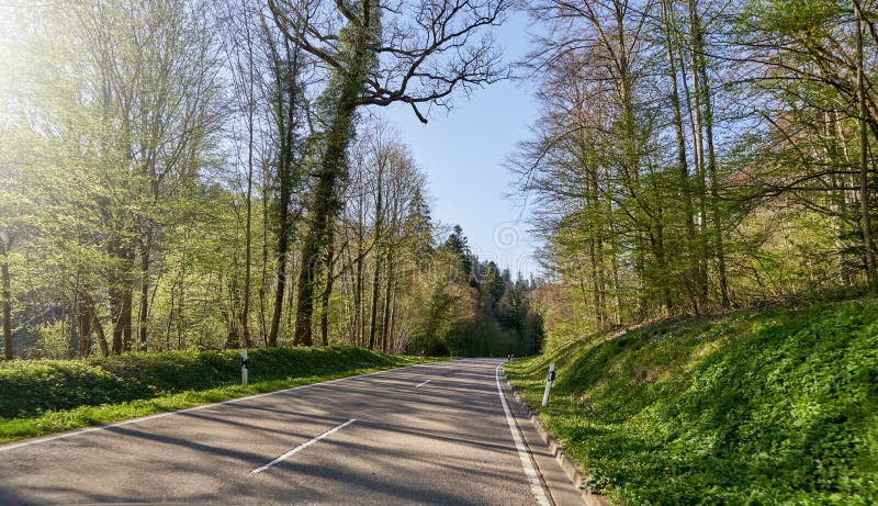 Landscape with a Road between the Trees, the Sun and the Blue Sky in ...