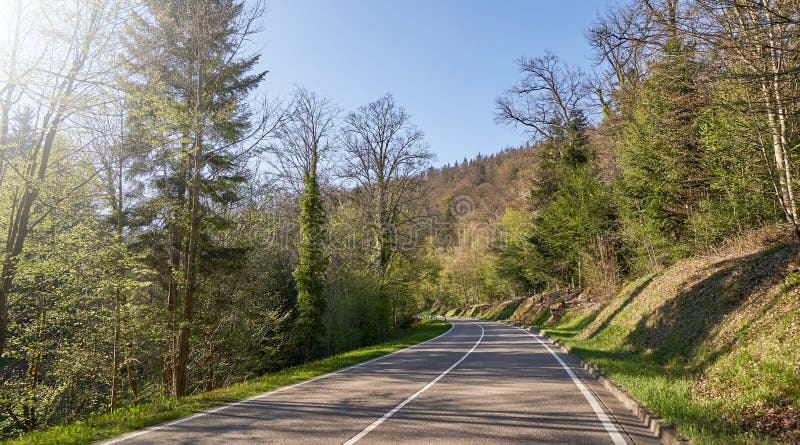 Landscape with a Road between the Trees, the Sun and the Blue Sky in ...
