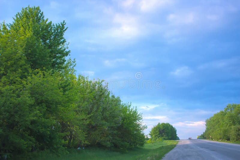 Landscape of Road Under the Trees Stock Image - Image of environment ...