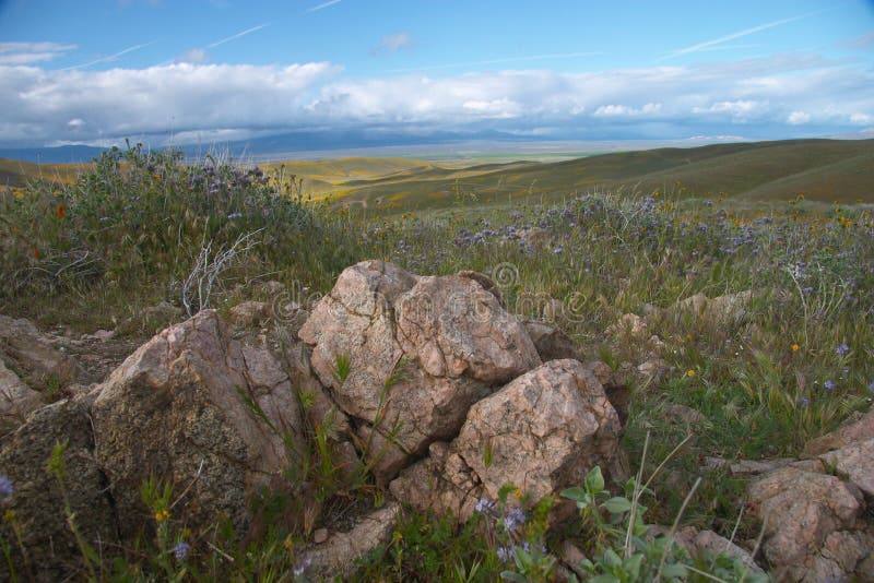Landscape with Rocks stock image. Image of grass, rocks - 259057