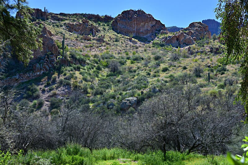 Landscape of Rocks Covered in Bushes and Trees Under a Blue Sky and ...