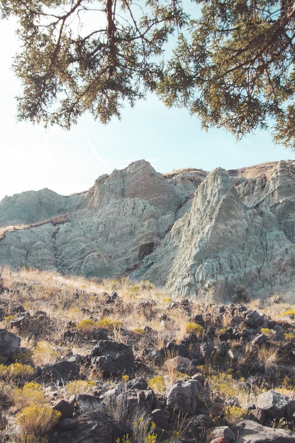 Landscape of Rocks Surrounded by Greenery and Stones Under Sunlight ...