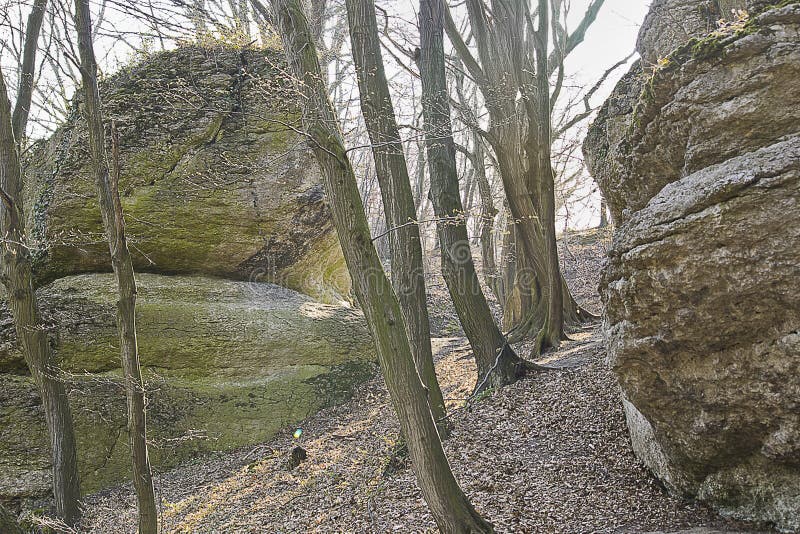 Landscape with Rocks and Trees Stock Photo - Image of tree, outdoors ...