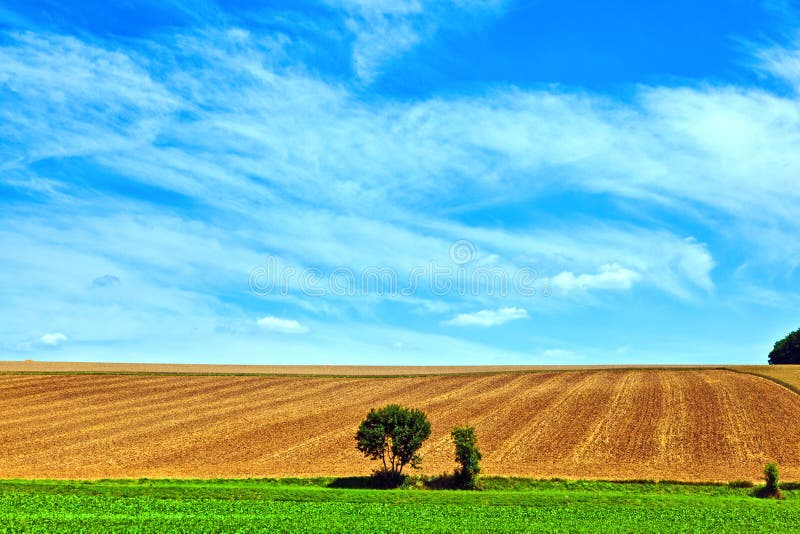 Landscape with Row of Trees Stock Image - Image of bavaria, nature ...