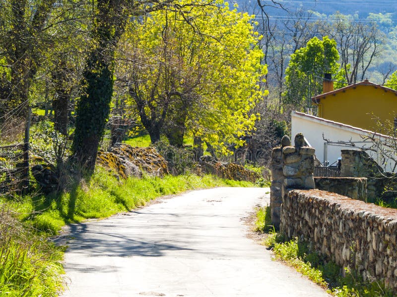 Landscape of a Rural Path on Springtime Stock Image - Image of peaceful ...