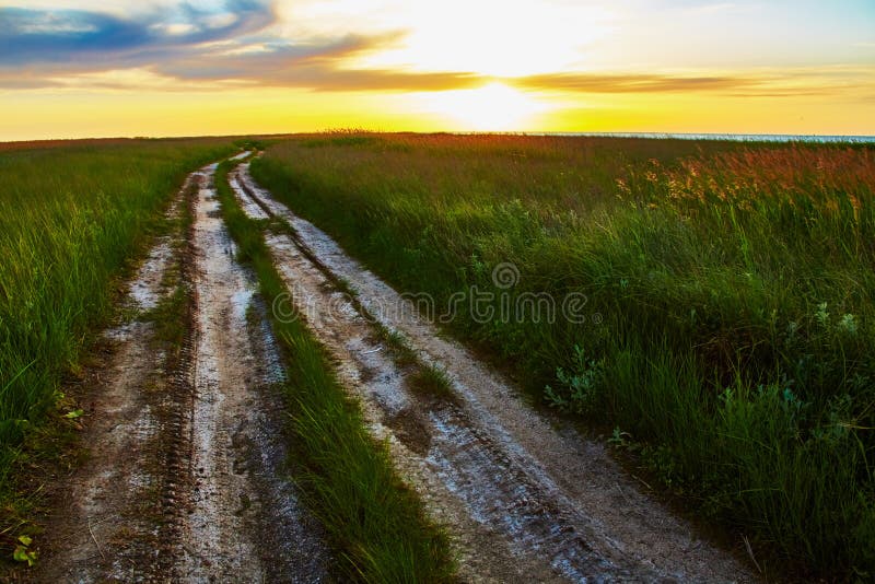 Landscape with Rut Road in Steppe Stock Photo - Image of grass, green ...