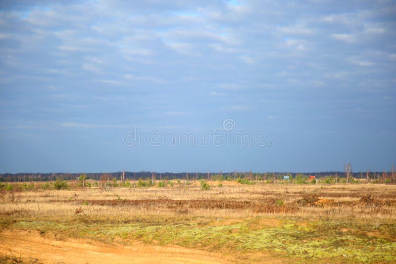 Landscape - sand field stock photo. Image of sunny, landscape - 46813514
