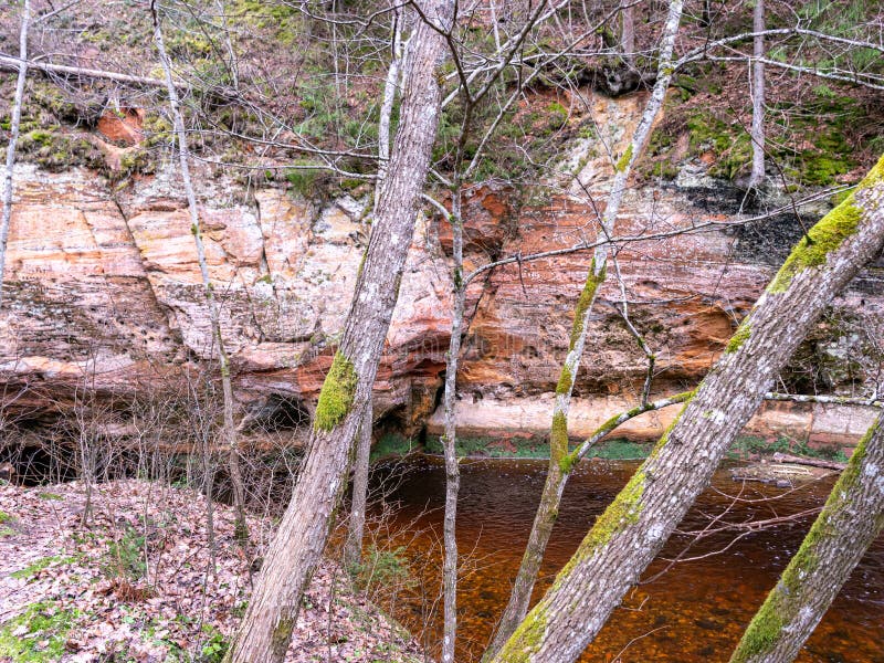 Sandstone Rock Wall by the River with Forest, Rock Reflection in the ...