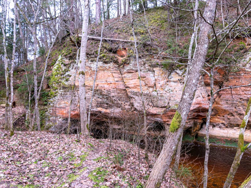 Sandstone Rock Wall by the River with Forest, Rock Reflection in the ...