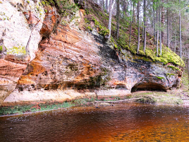 Sandstone Rock Wall by the River with Forest, Rock Reflection in the ...