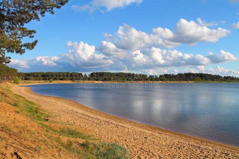 The Landscape the Sandy Coast of the Lake Stock Image - Image of forest ...