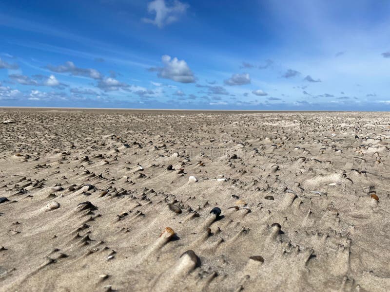 Landscape of a Sandy Shore on a Bright Sunny Day Stock Image - Image of ...