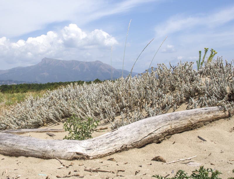 Landscape stock photo. Image of sand, relax, sandy, natural - 58230454