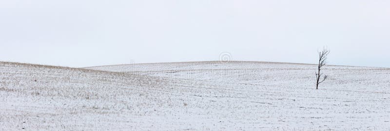 Landscape Saskatchewan Prairie Stock Image - Image of snow, prairie ...