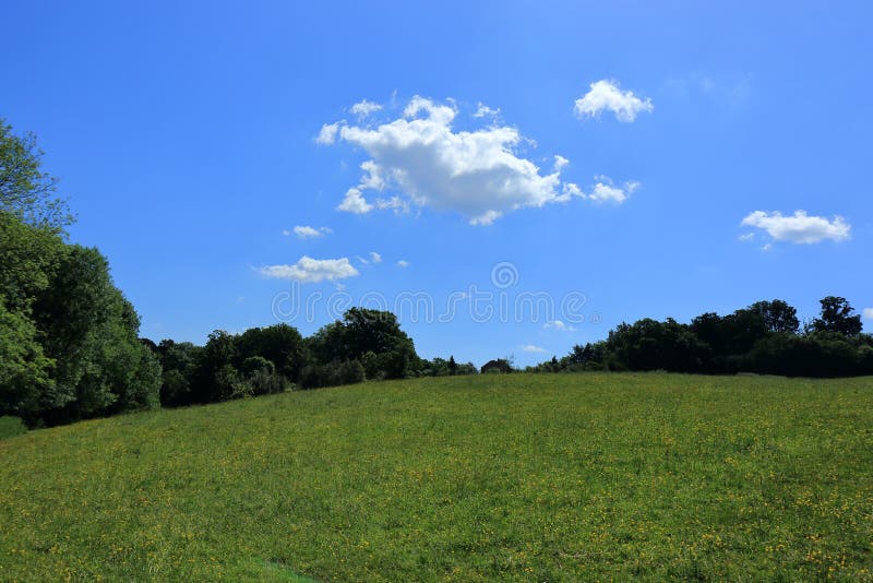 A Landscape Scene of the Hilly Fields and Woodlands Around Westerham ...