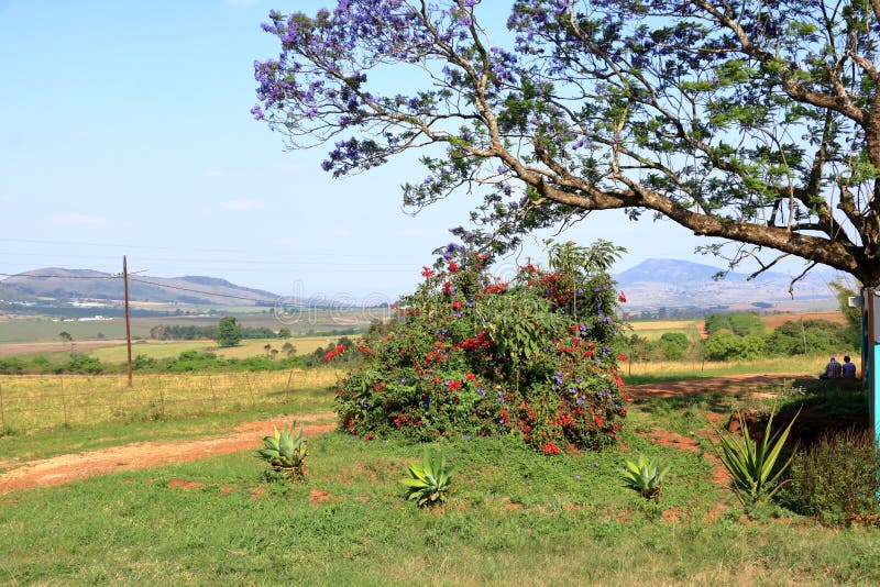 A Landscape Scene in Swaziland Kingdom of Eswatini Stock Photo - Image ...