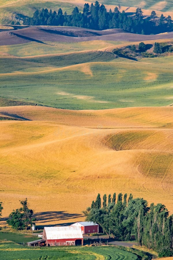 Landscape Scenes in Palouse Washington Stock Image - Image of country ...