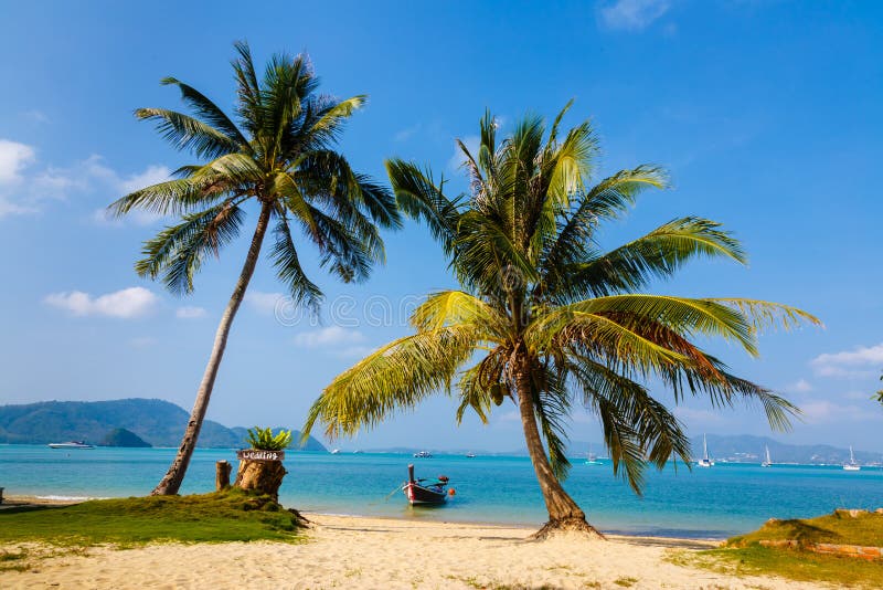 Landscape the Sea, the Boat, a Palm Tree in Phuket Stock Photo - Image ...