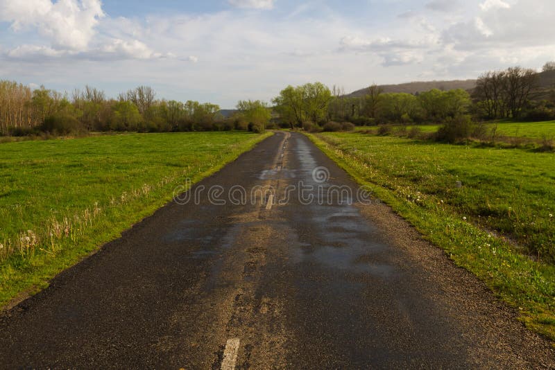 Secondary road stock photo. Image of green, trees, road - 30093468