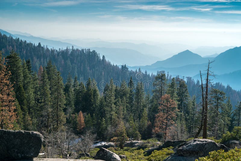 Landscape of Sequoia National Park Stock Photo - Image of haze, layer ...