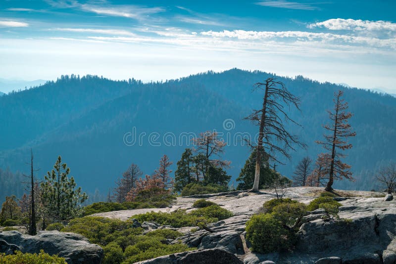 Landscape of Sequoia National Park Stock Image - Image of sightseeing ...