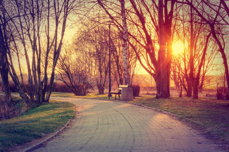 Landscape with the Setting Sun. Stock Image - Image of sunlight ...