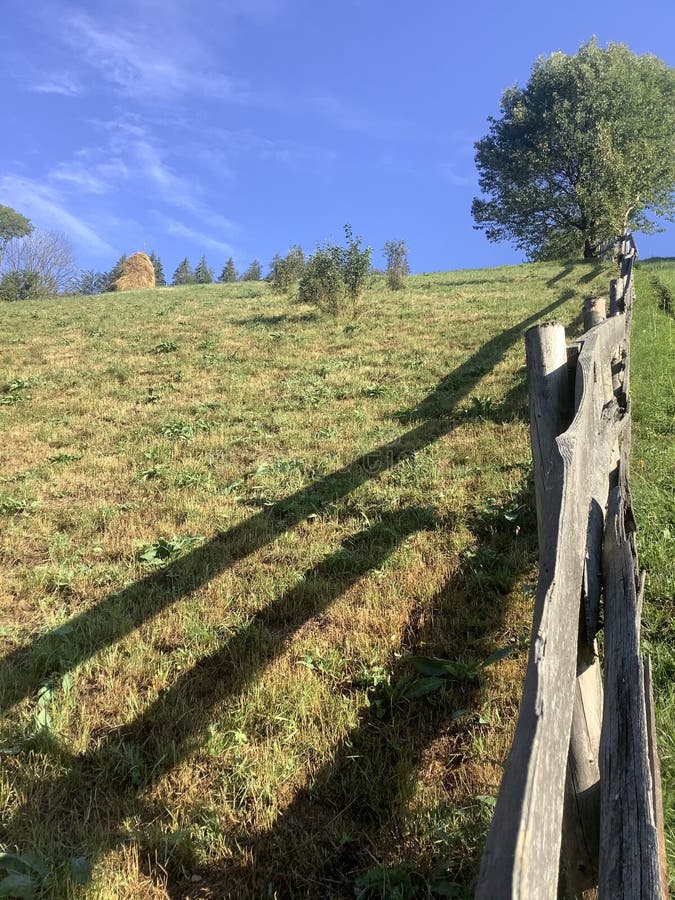 Landscape with the Shadow of a Fence and a Tree Stock Photo - Image of ...