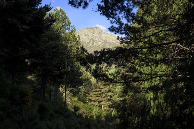 Landscape in Shadow Forest with Light Glade Towards Sunny Granite ...