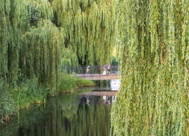 Landscape Shot of the Beautiful Park. Outdoor Stock Photo - Image of ...