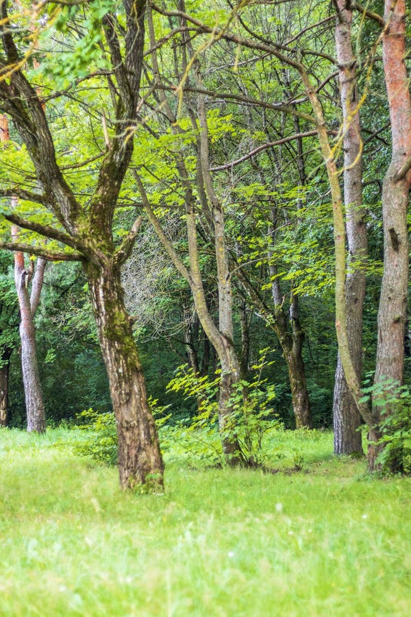 Landscape Shot of the Mountains in Bright Day. Nature Stock Photo ...