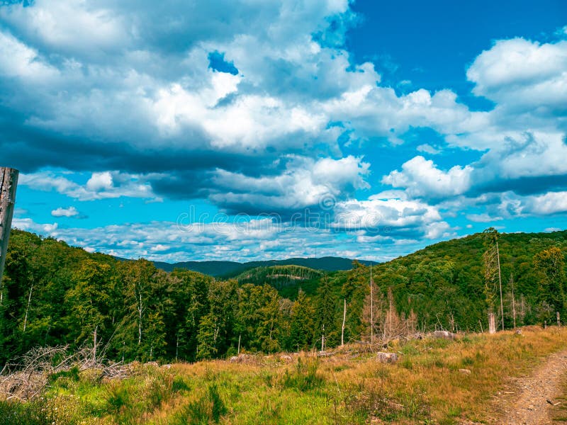 Landscape Shot of a German Forest with Cloudy Sky Stock Photo - Image ...