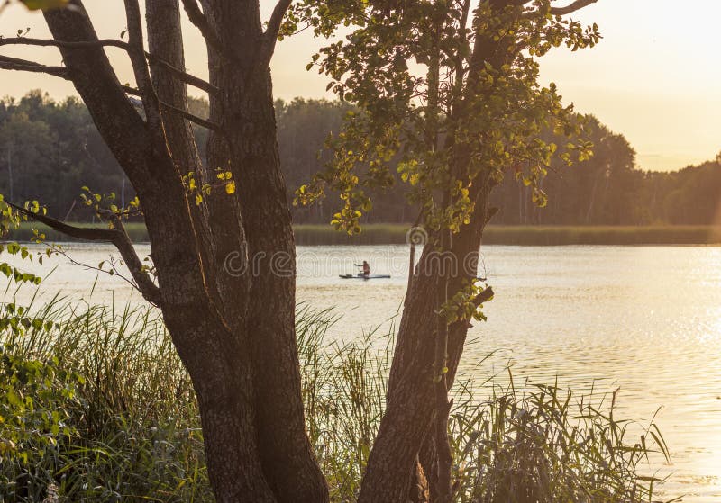 Landscape Shot of the Lake. Nature Stock Image - Image of park, natural ...