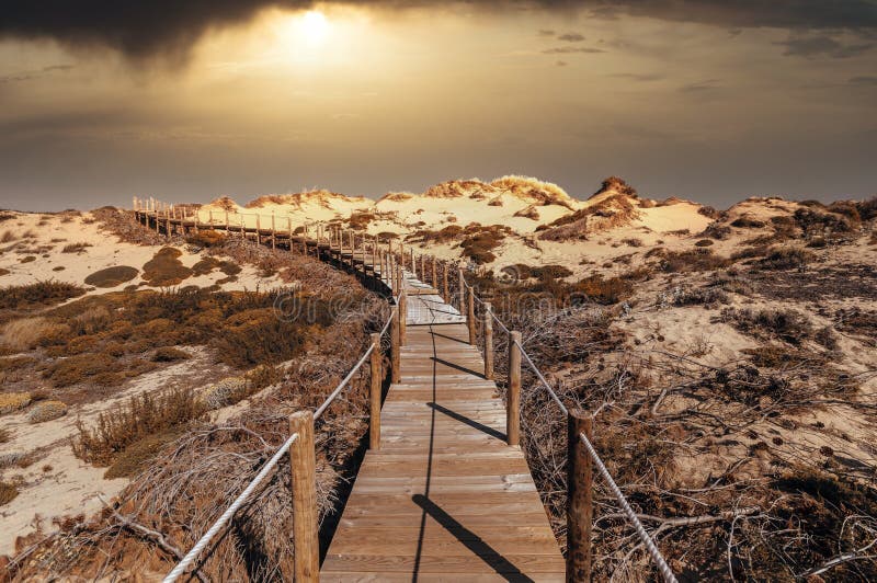 Landscape Shot of a Pathway through Desert Diving into the Grey Clouds ...