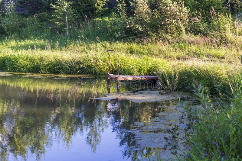 Landscape Shot of the Pond. Nature Stock Image - Image of reflection ...