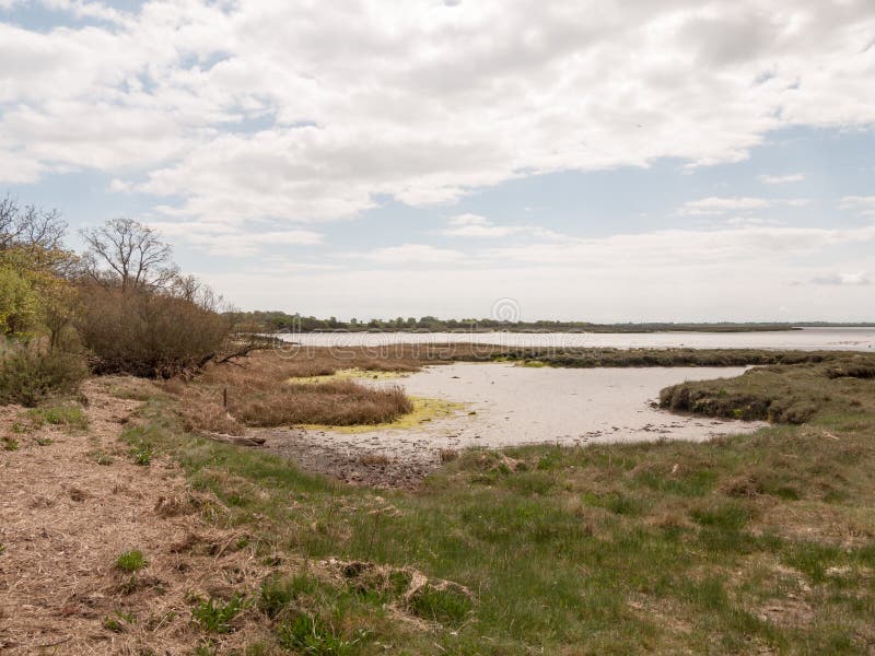 Landscape Shot of Seaside Environment Where Birds Rest and Nest Stock ...