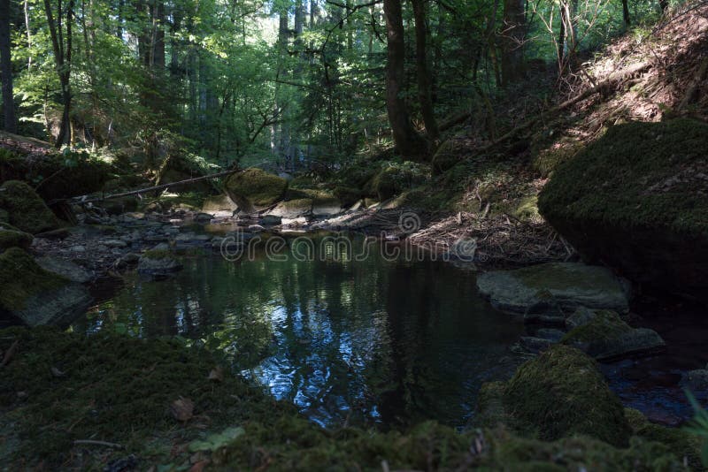 Landscape Shot of a Small Lake in a Deep Forest Stock Photo - Image of ...