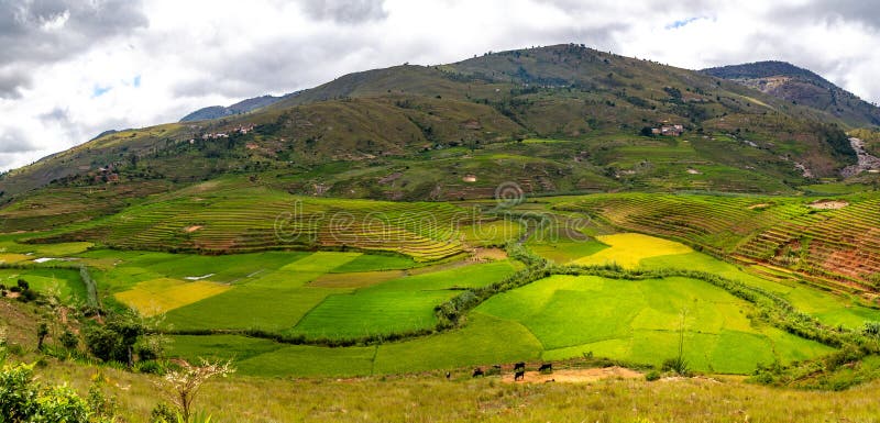 Landscape Shots of the Island of Madagascar Stock Photo - Image of ...