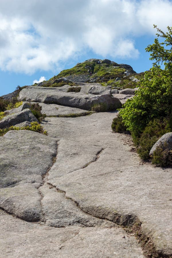 Landscape of the Side of Bennachie, Scotland Stock Photo - Image of ...