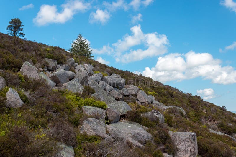 Landscape of the Side of Bennachie, Scotland Stock Photo - Image of ...