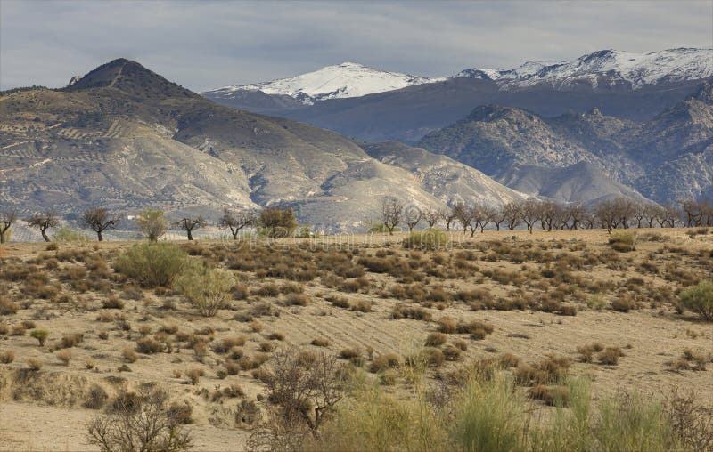 Landscape of the Sierra Narvada Mountains with Almond Trees Stock Photo ...